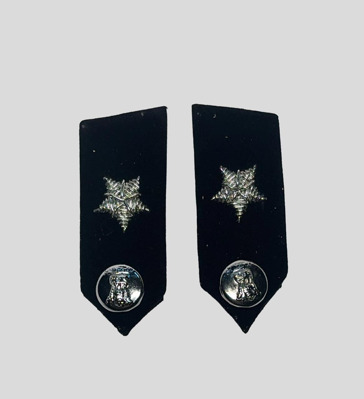 Blue Army DIG Rank Gorget Collar Badge | Metallic Bullion Embroidery B