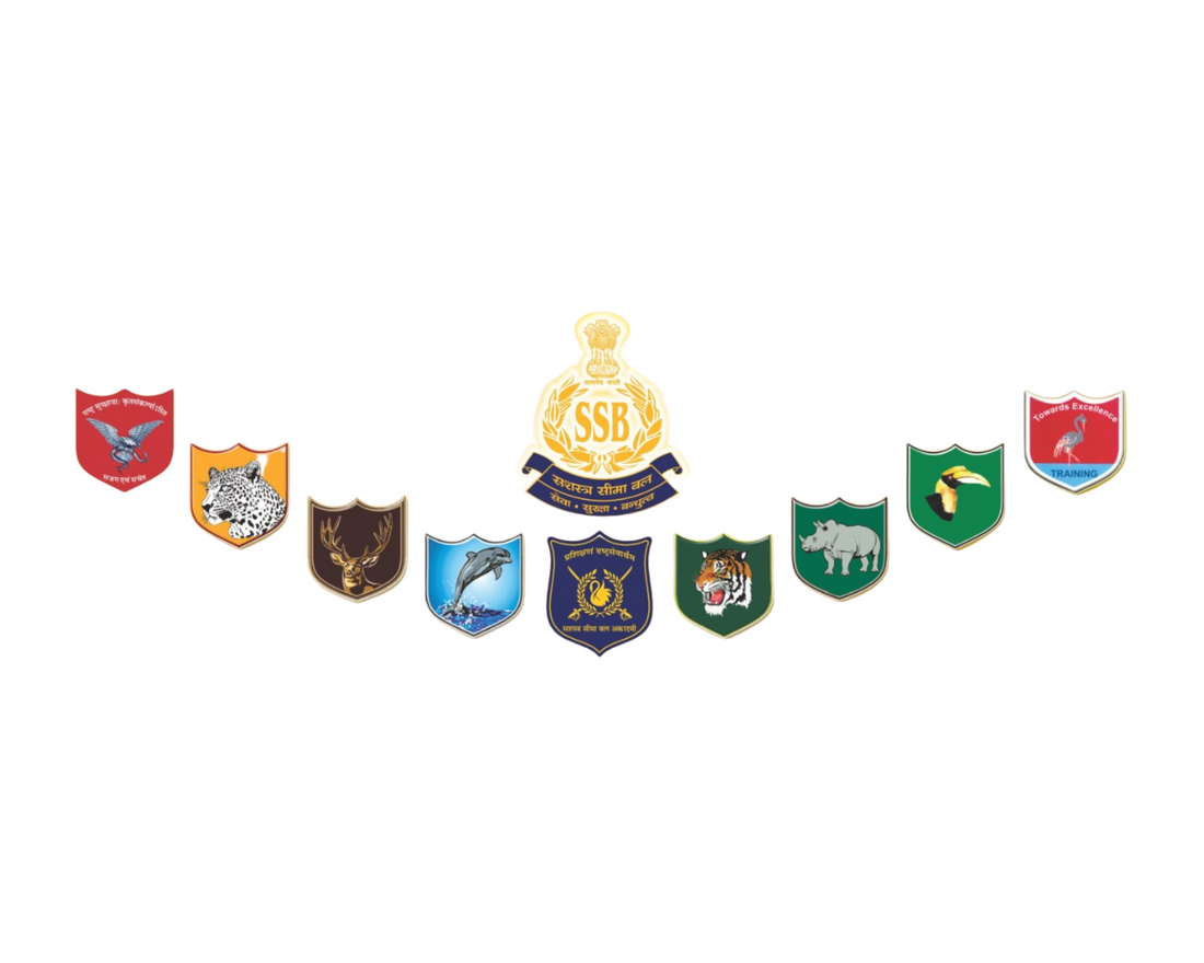 FORMATION SIGN/INSIGNIA -SASHASTRA SEEMA BAL – Blue Army